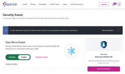 Freezing Your Credit and Using Your Credit Card | CardCritics™